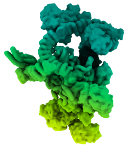 Cryo-EM Services | ATEM